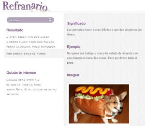 El significado de a otro perro con ese hueso - tuveterinario24.es